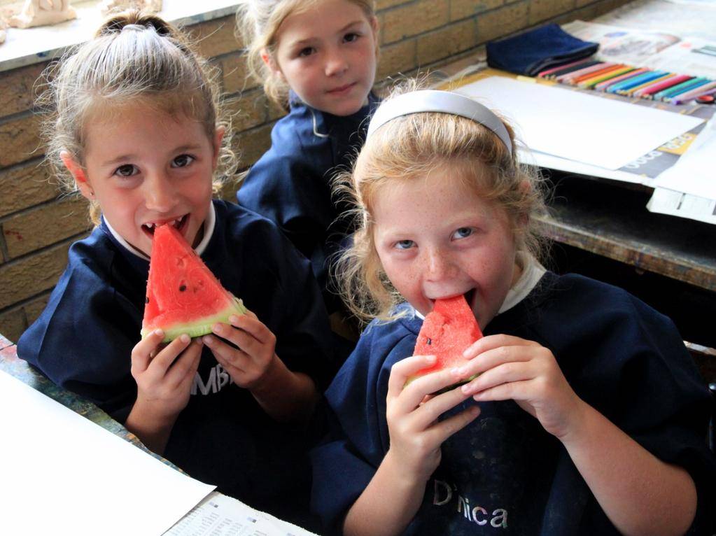 Akademie/ | Gallery | Laerskool Charlo Primary School