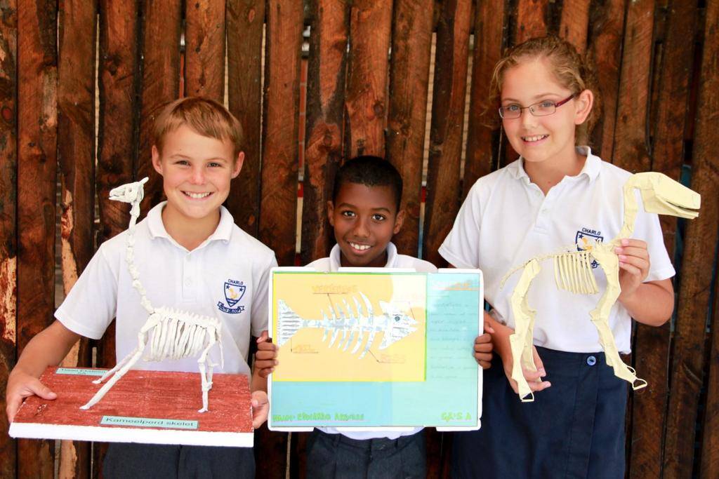 Akademie/ | Gallery | Laerskool Charlo Primary School