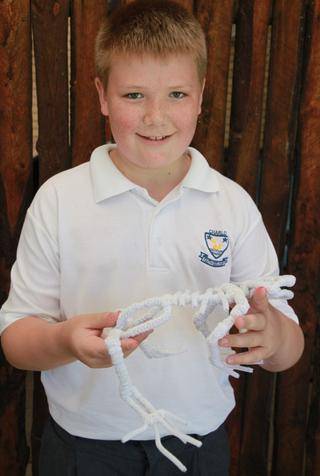 Akademie/ | Gallery | Laerskool Charlo Primary School
